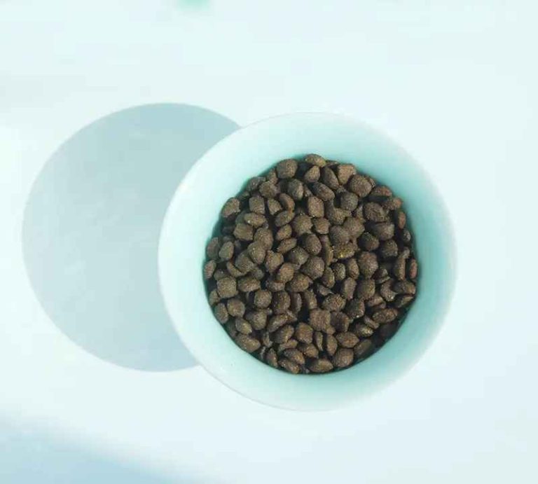 Natural Insect Protein Dog Food - HsViko Pet Supplements