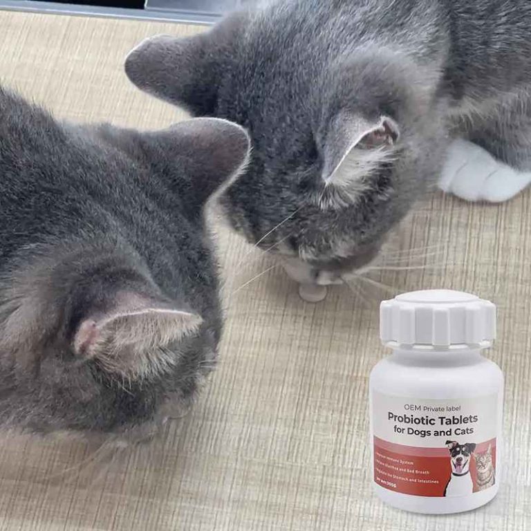 Probiotic Tablets for Dogs and Cats - HsViko Pet Supplements