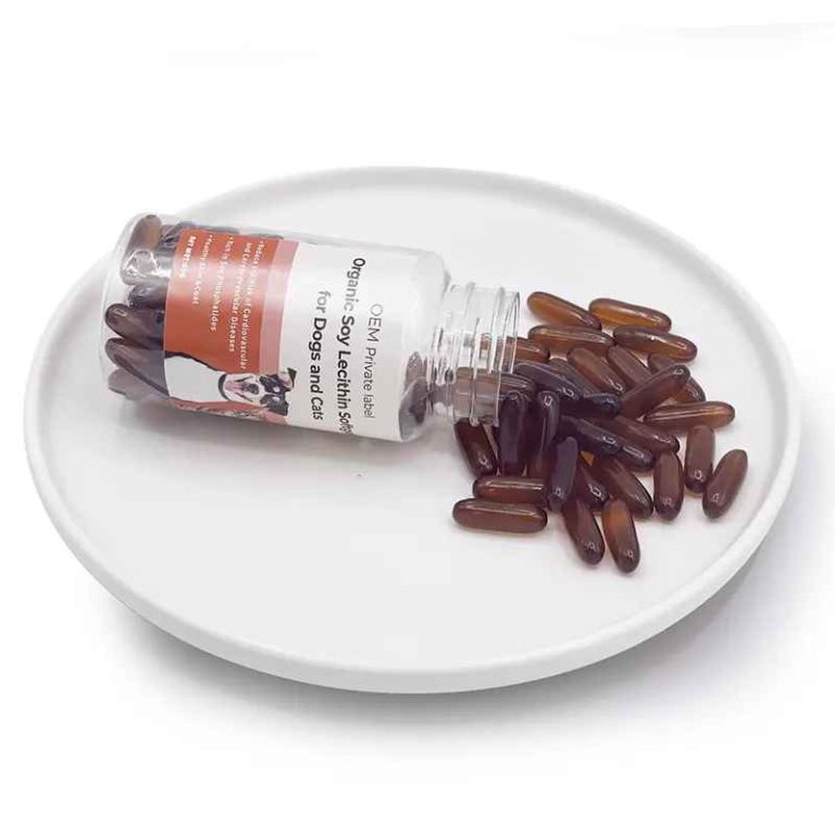 Probiotics for Dogs: Benefits, When to Use & Right Dosages - HsViko Pet ...