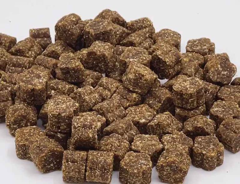 Lecithin Soft Chews for Dogs and Cats - HsViko Pet Supplements